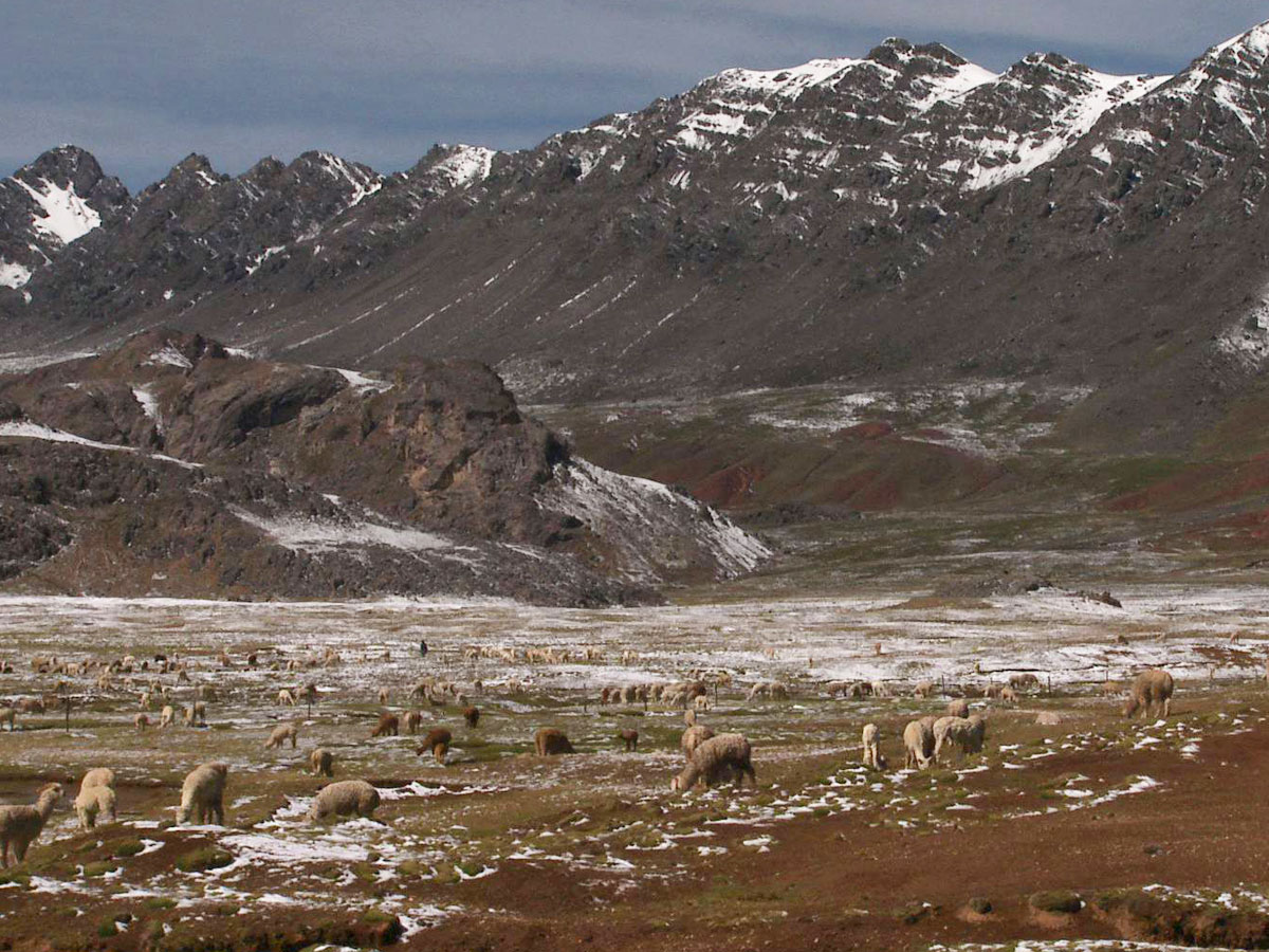 Lesson 10: Peru: People of the Altiplano – In The Americas with David ...